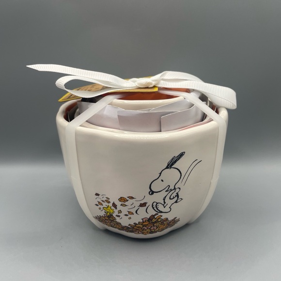 Rae Dunn | Kitchen | Rae Dunn Peanuts Snoopy Fall Thanksgiving Harvest ...